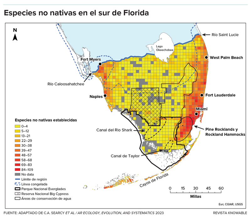 Mapa De Pitones En Florida 1,084 Pythons Fotos De Stock Fotos Libres