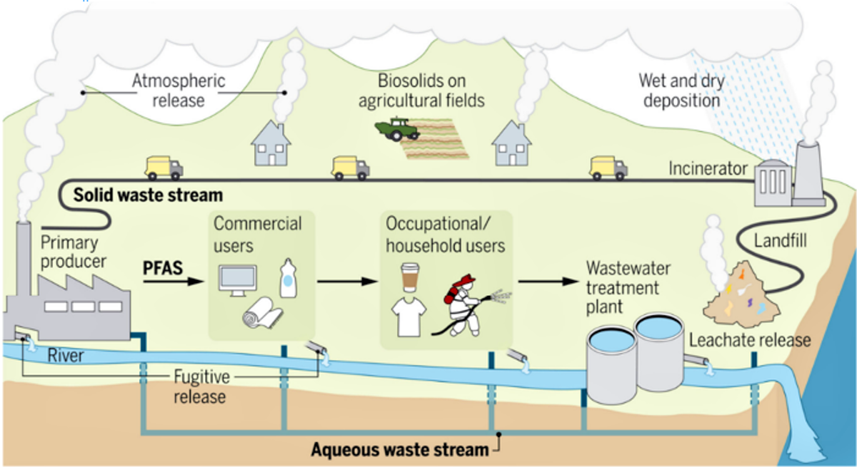 How Pfas Enters The Environment Ehn